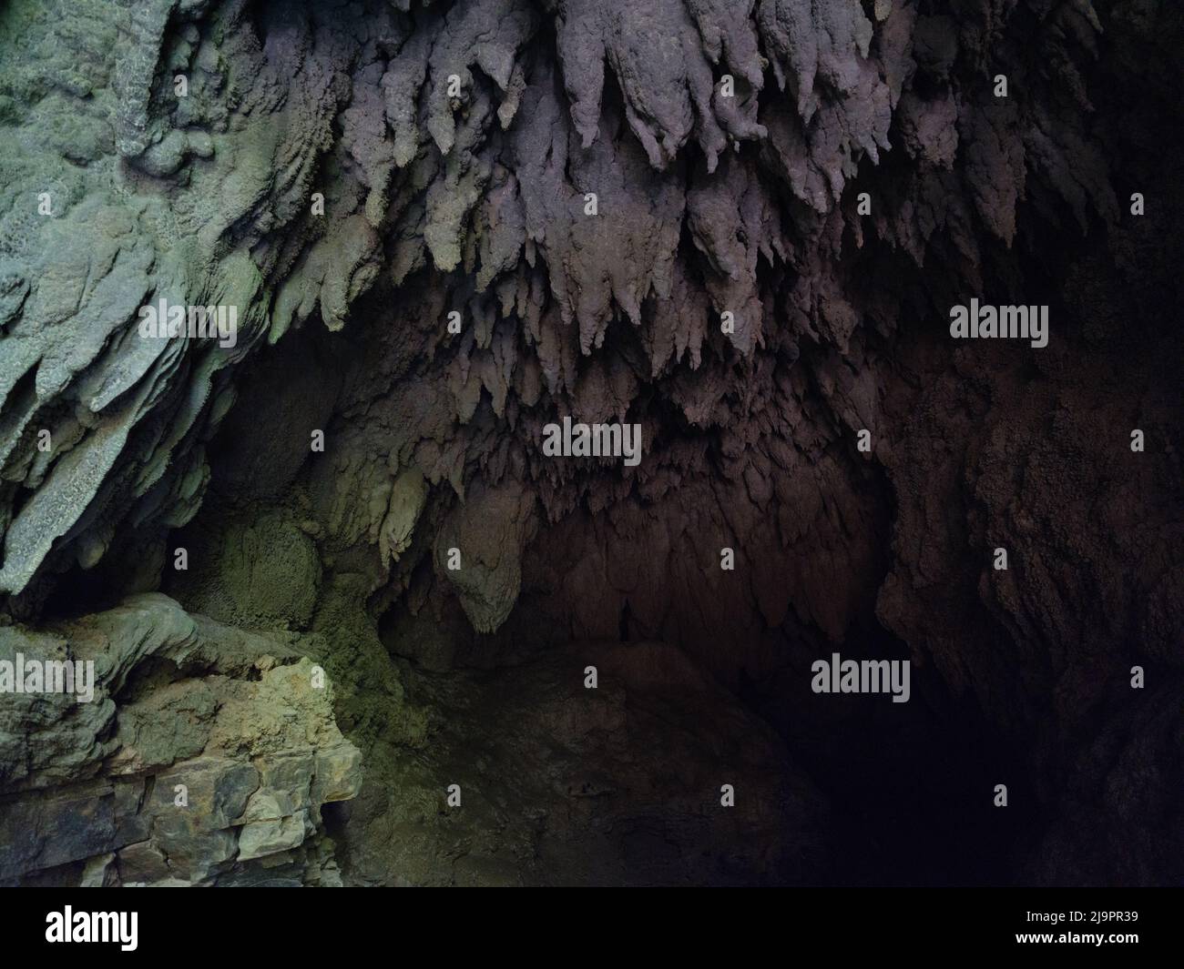 Limestone Cave in Iriomote Island, Okinawa Prefecture, Japan Stock ...