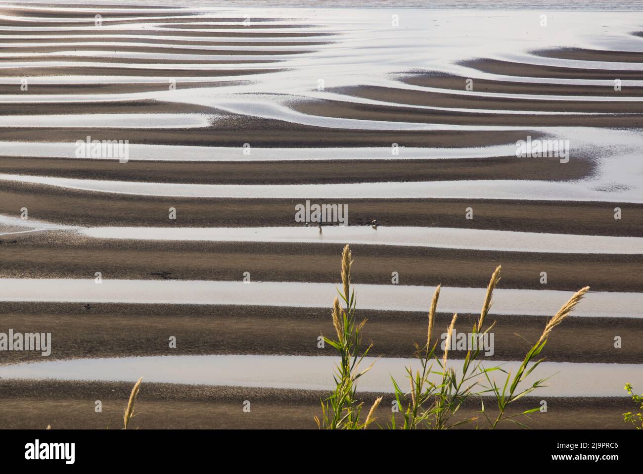 Kumamoto kyushu japan beach hi-res stock photography and images - Alamy