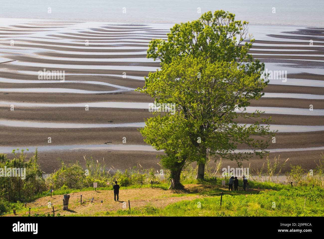 Low Tide, Okoshiki Beach, Kumamoto Prefecture, Japan Stock Photo - Alamy