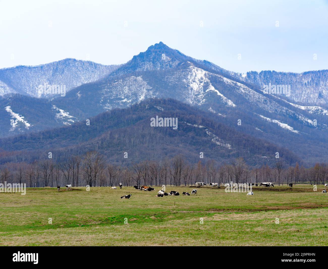 Hidaka Mountains and Pasture, Hokkaido, Japan Stock Photo - Alamy