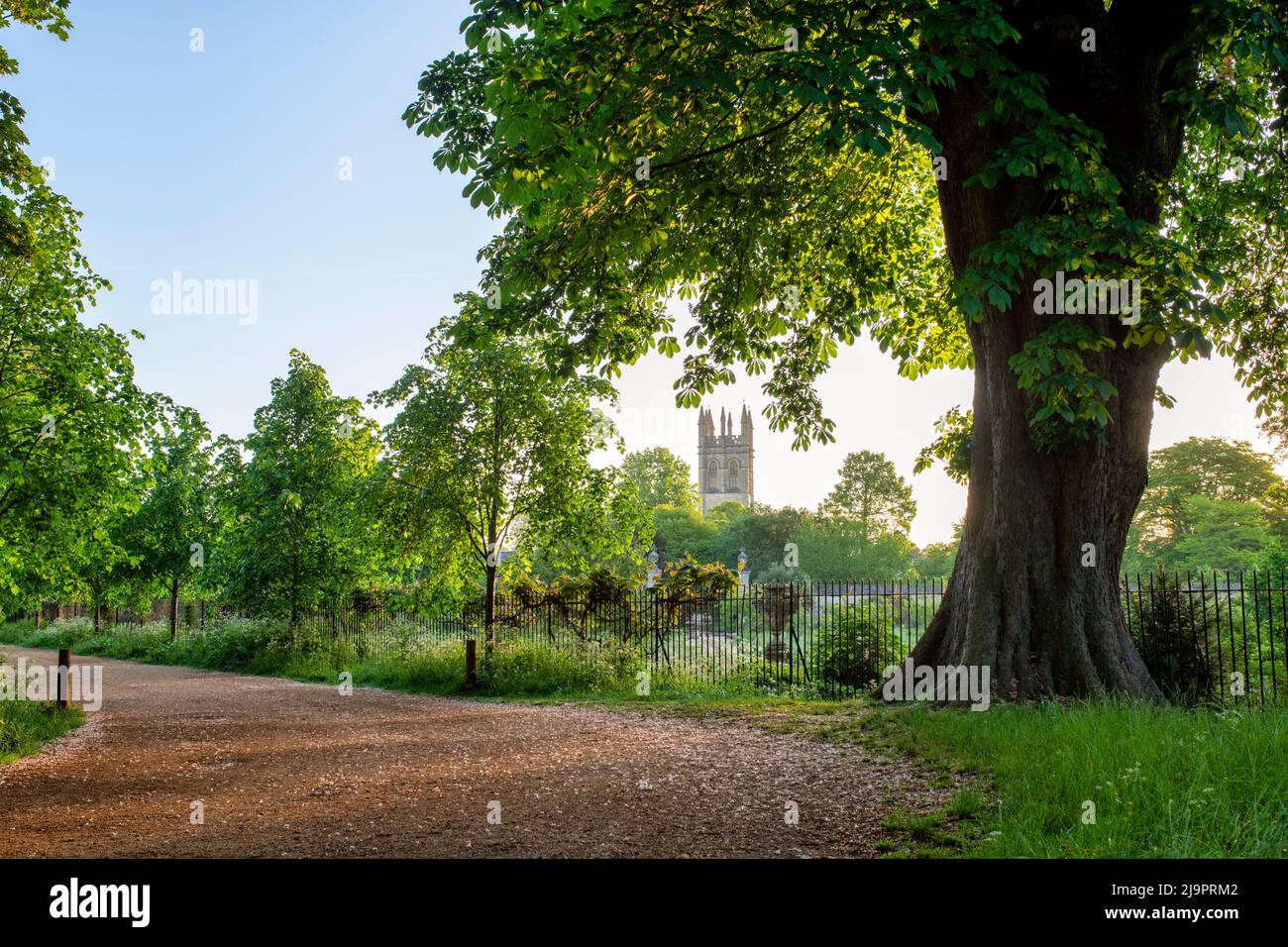 Church Walk Gardens Preston at Leticia Martinez blog