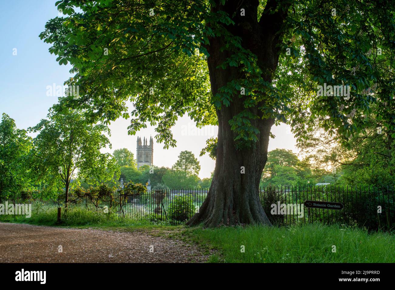 Church Walk Gardens Preston at Leticia Martinez blog