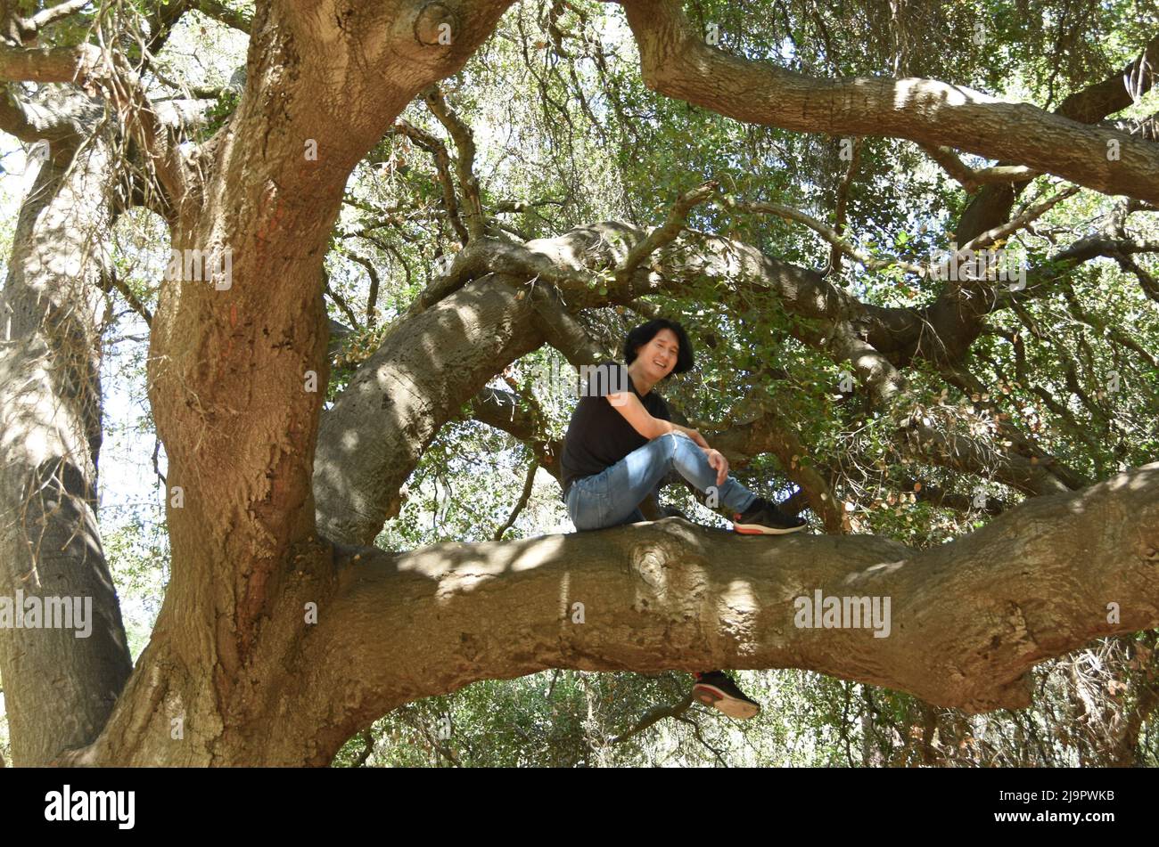 Los Angeles, California, USA 24th May 2022 (Exclusive) Director/Actor ...