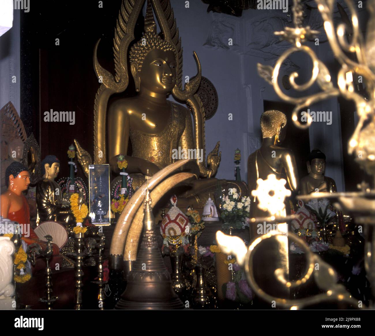 Giant Buddha statue in the Temple of the Tooth in Kandy, Sri Lanka, or ...