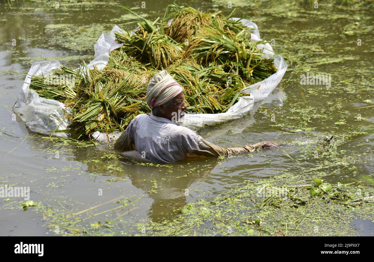 Nalbari district of assam hi-res stock photography and images - Alamy