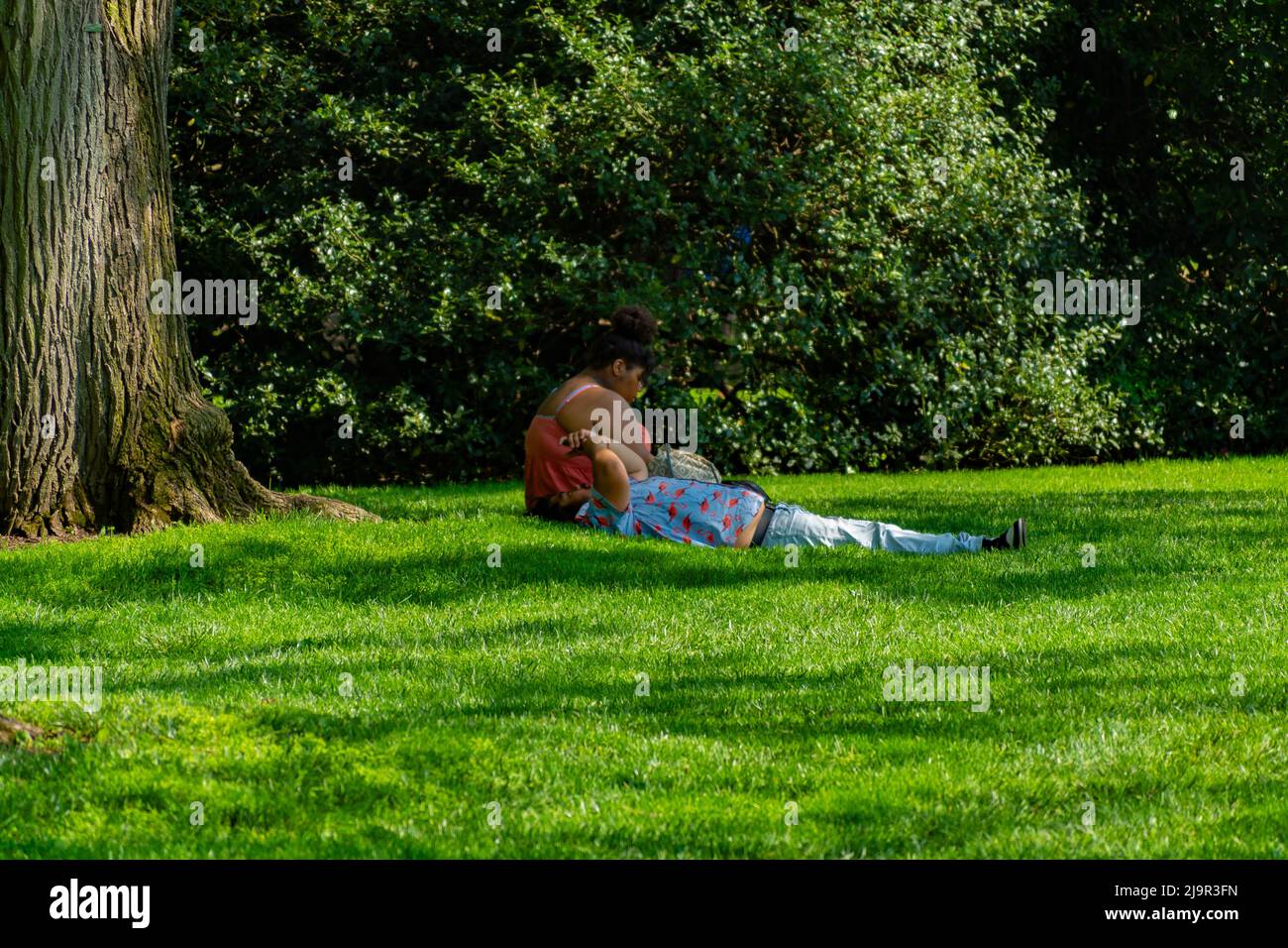 Serenity in Bloom: Enjoying the Summer Splendor at the Brooklyn Botanic ...