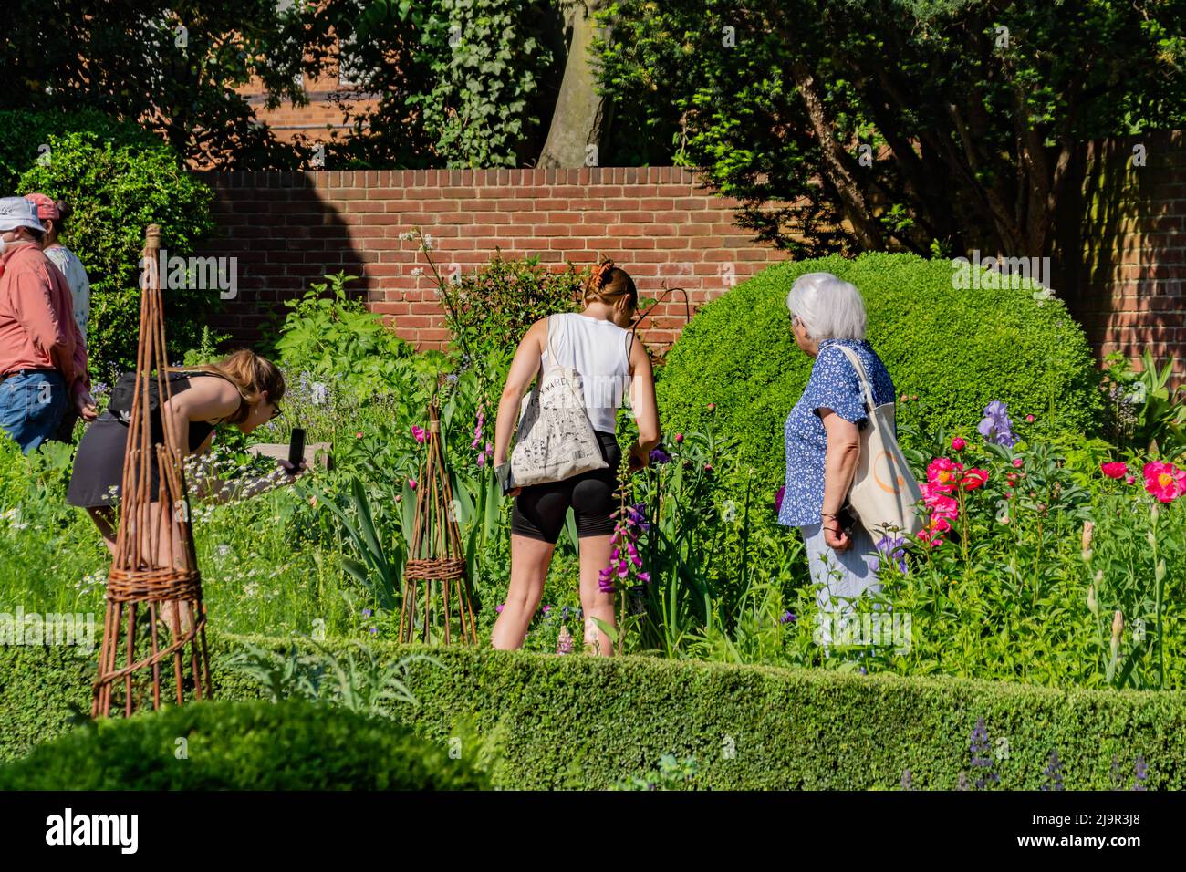 Serenity in Bloom: Enjoying the Summer Splendor at the Brooklyn Botanic ...