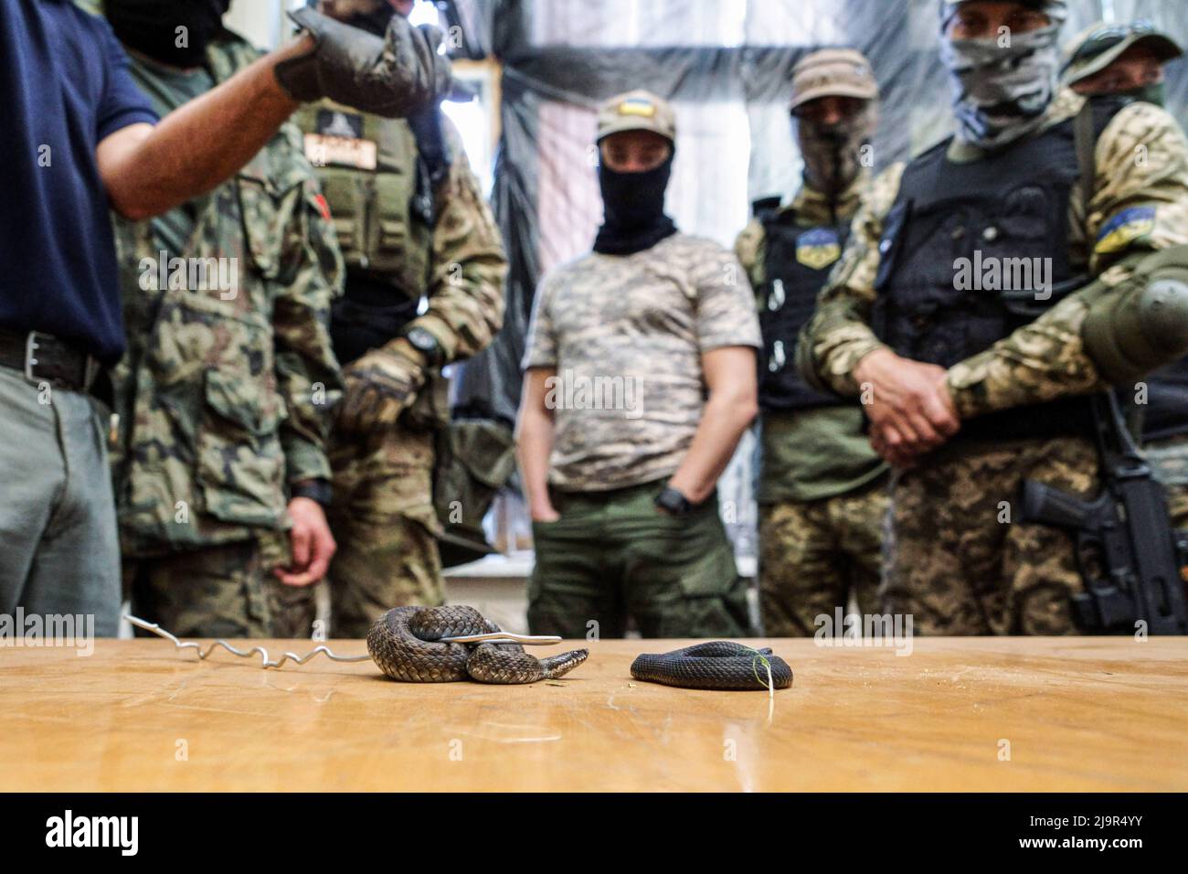 A handler instructs trainees on the correct treatment of snakes in the ...