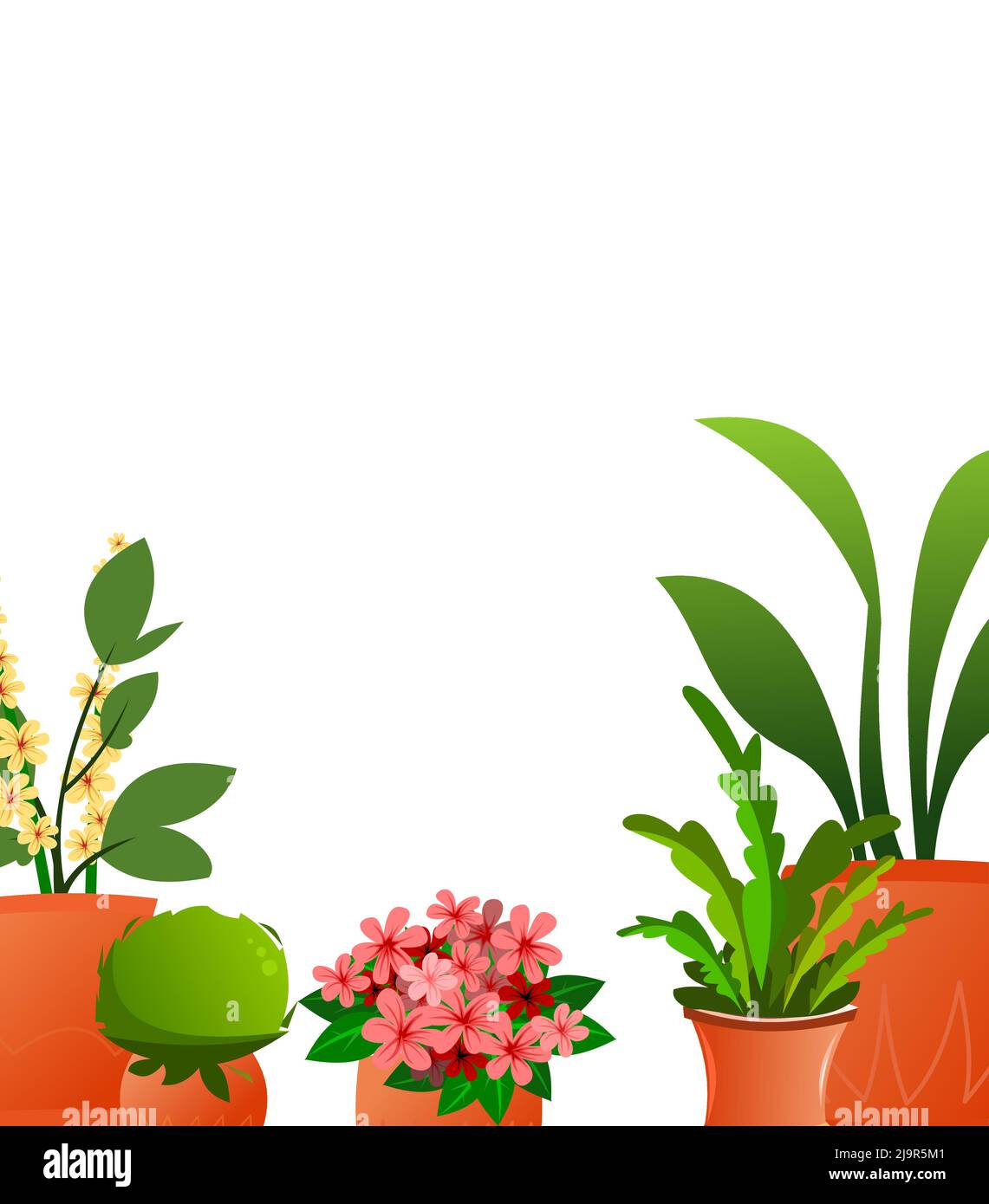 Indoor plants and flowers. In ceramic pots. Homemade beautiful herbs ...