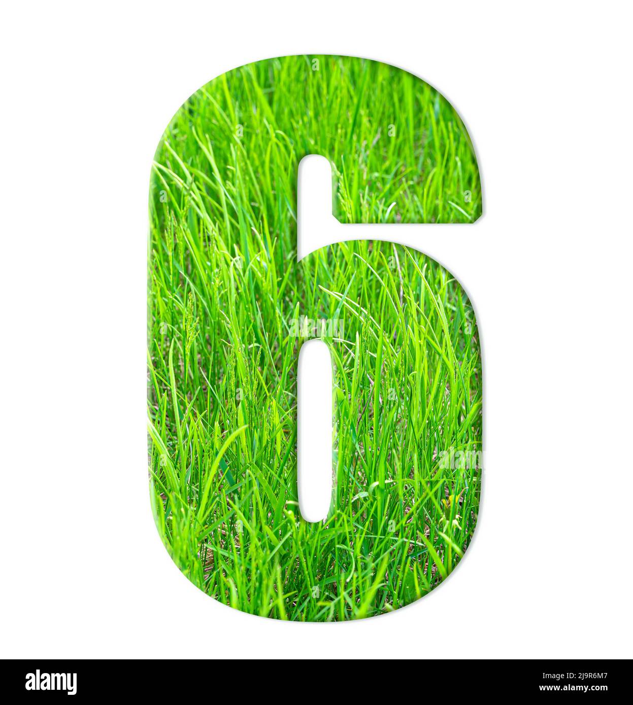 Six with the texture of green juicy grass isolated on a white ...