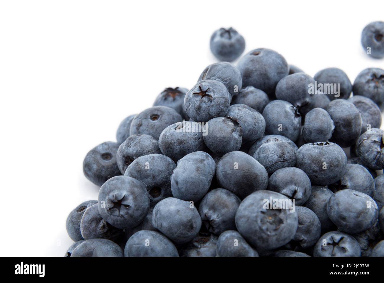 Blueberries on white background isolated Stock Photo - Alamy