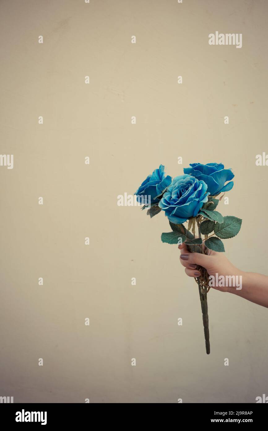 Hand holding blue fabric roses on brown background Stock Photo - Alamy