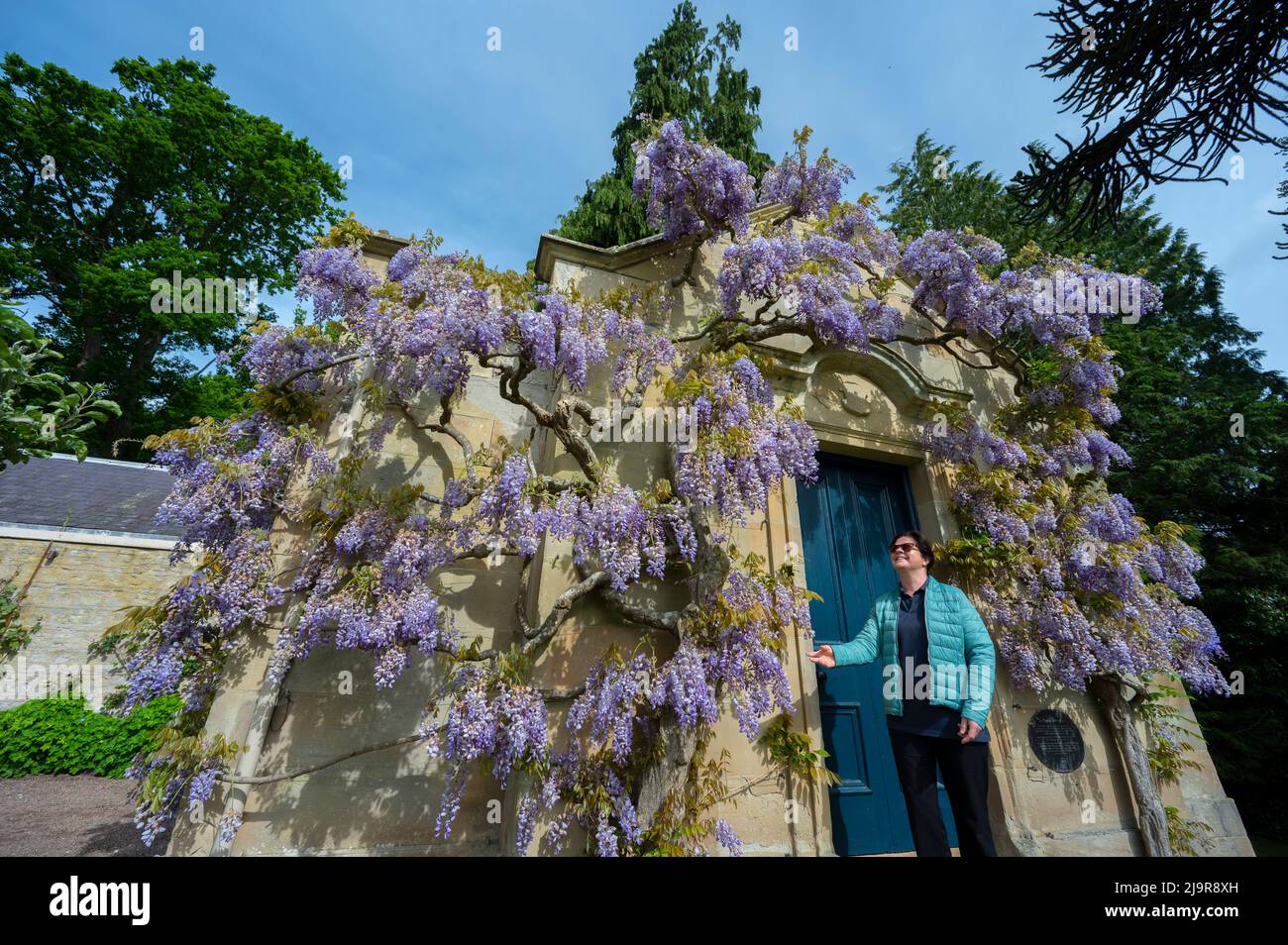 Queen victorias tea house hi-res stock photography and images - Alamy