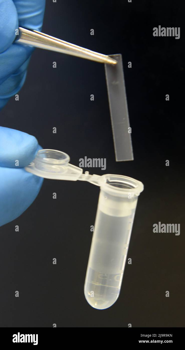 Phl7 hi-res stock photography and images - Alamy