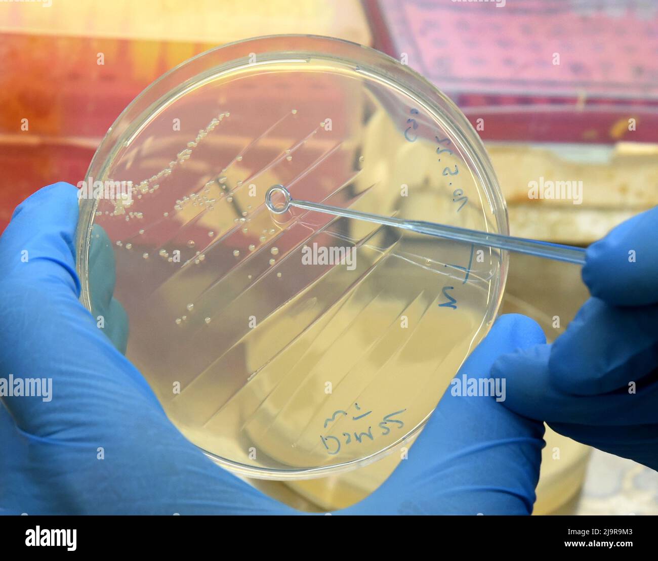 Plastic degradation enzyme hi-res stock photography and images - Alamy