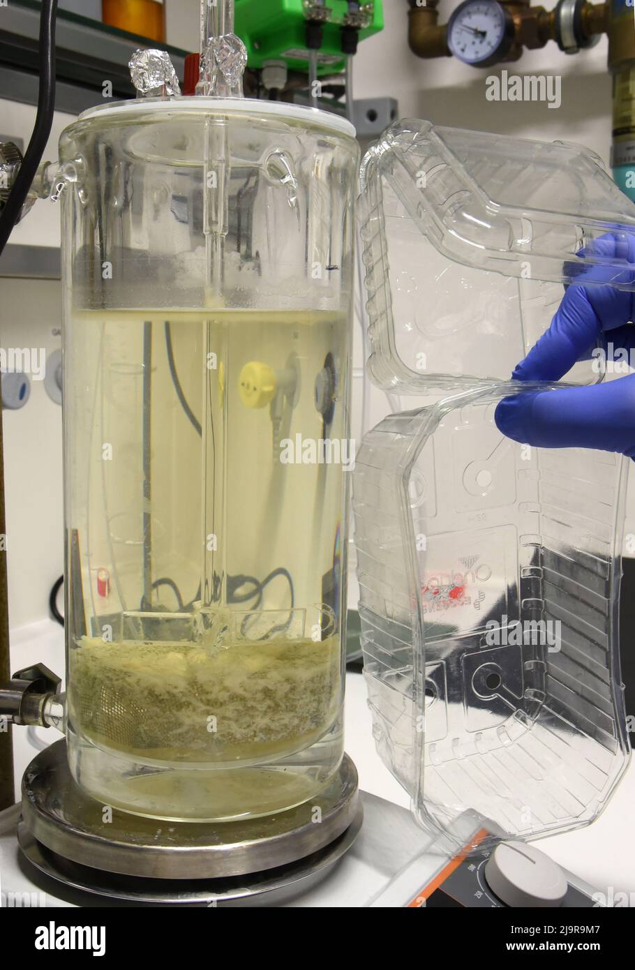 Enzyme experiment hi-res stock photography and images - Alamy