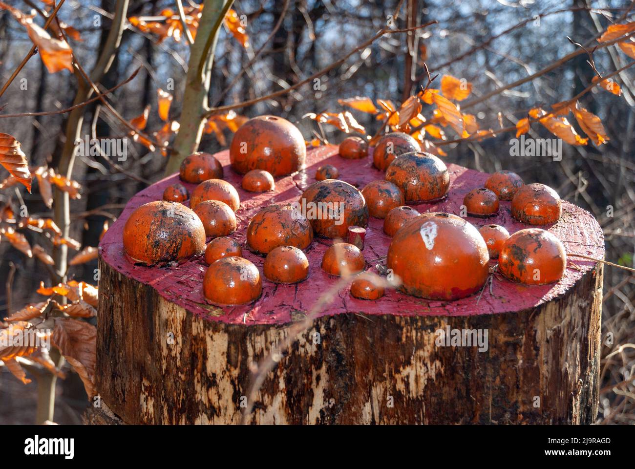 View of painted balls on a tree stump Stock Photo - Alamy