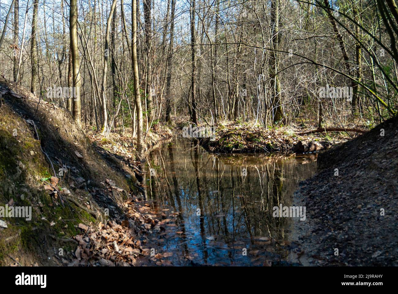 Forest river path germany hi-res stock photography and images - Alamy