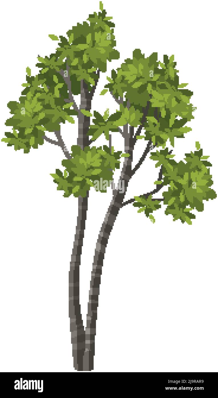 Isolated tree on white background illustration Stock Vector Image & Art ...