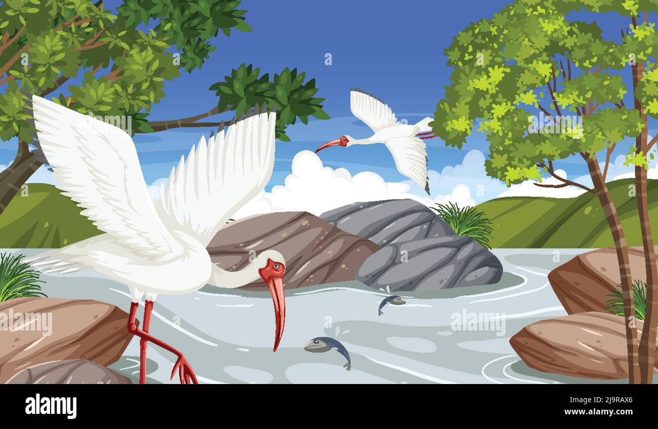 American white ibis in the forest illustration Stock Vector Image & Art ...