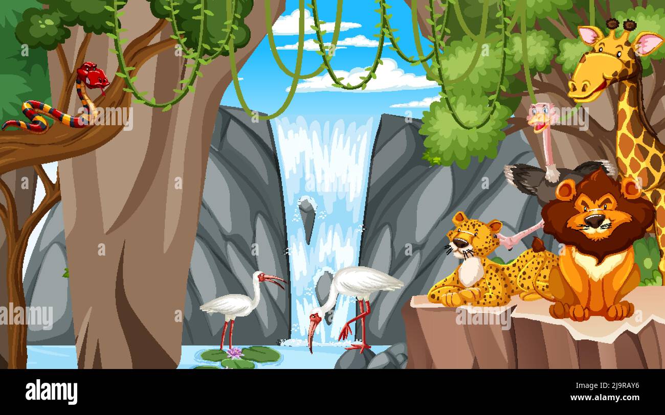 Various animals in the forest illustration Stock Vector Image & Art - Alamy