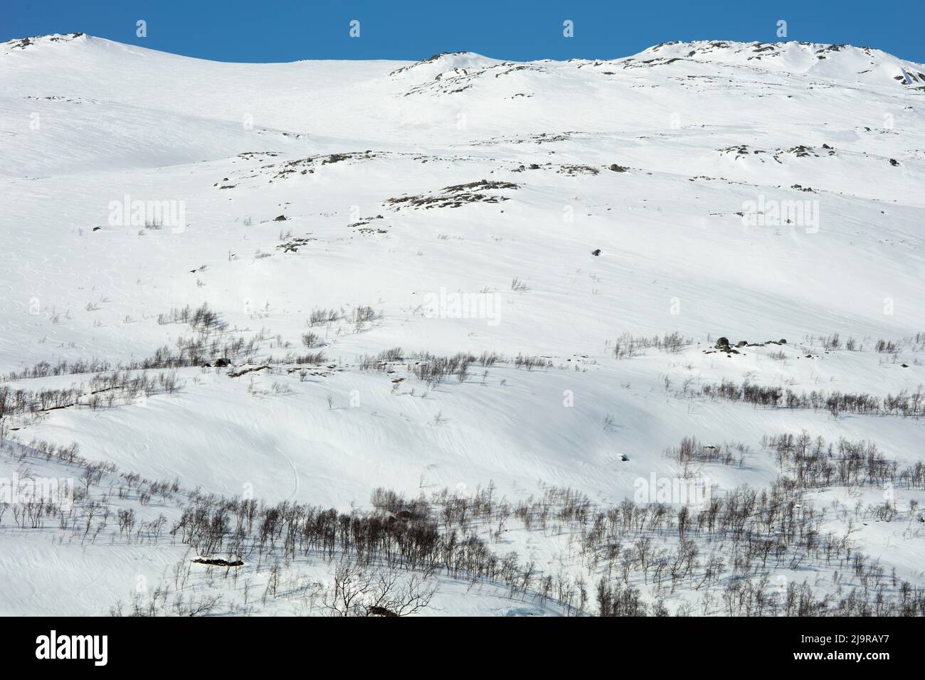 Scandinavian Mountains in March. Bright sunshine, thaw on the hillside ...