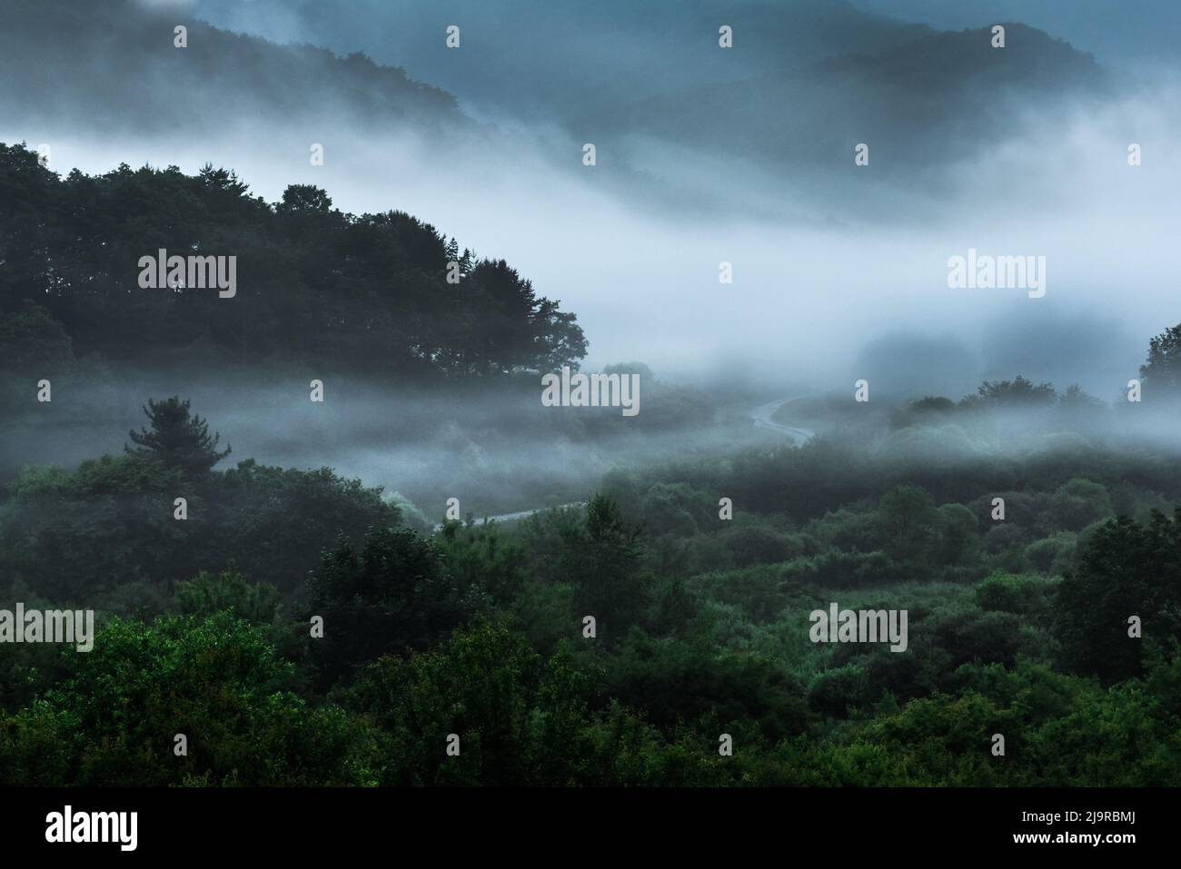 The wonderful and beautiful secret garden,the wave of misty sea float ...