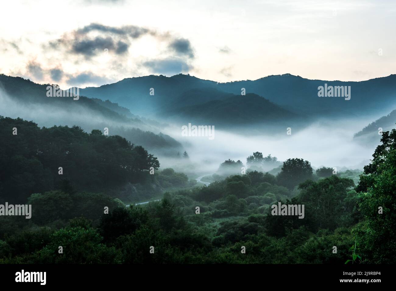 The wonderful and beautiful secret garden,the wave of misty sea float ...