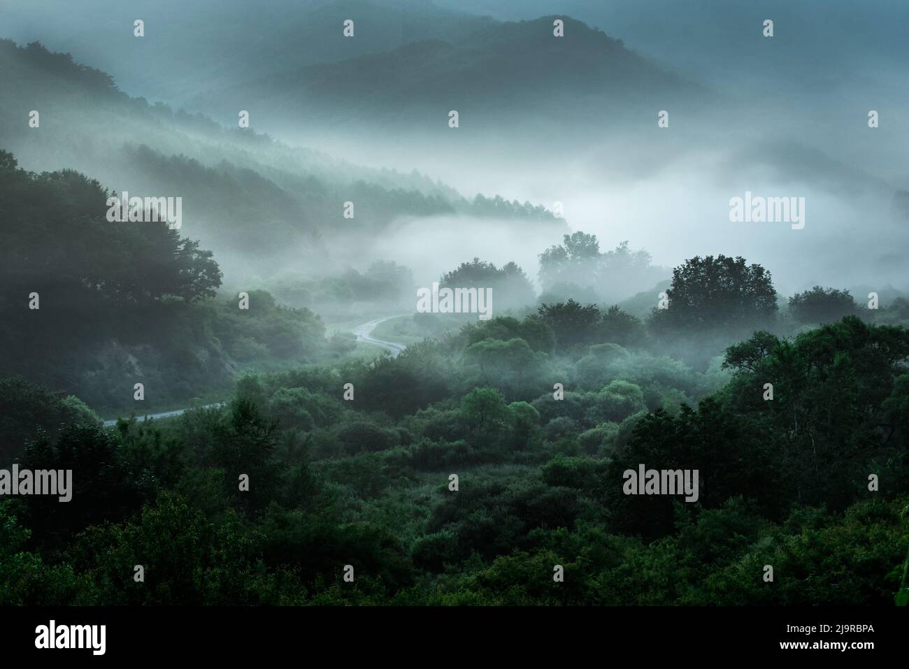 The wonderful and beautiful secret garden,the wave of misty sea float ...