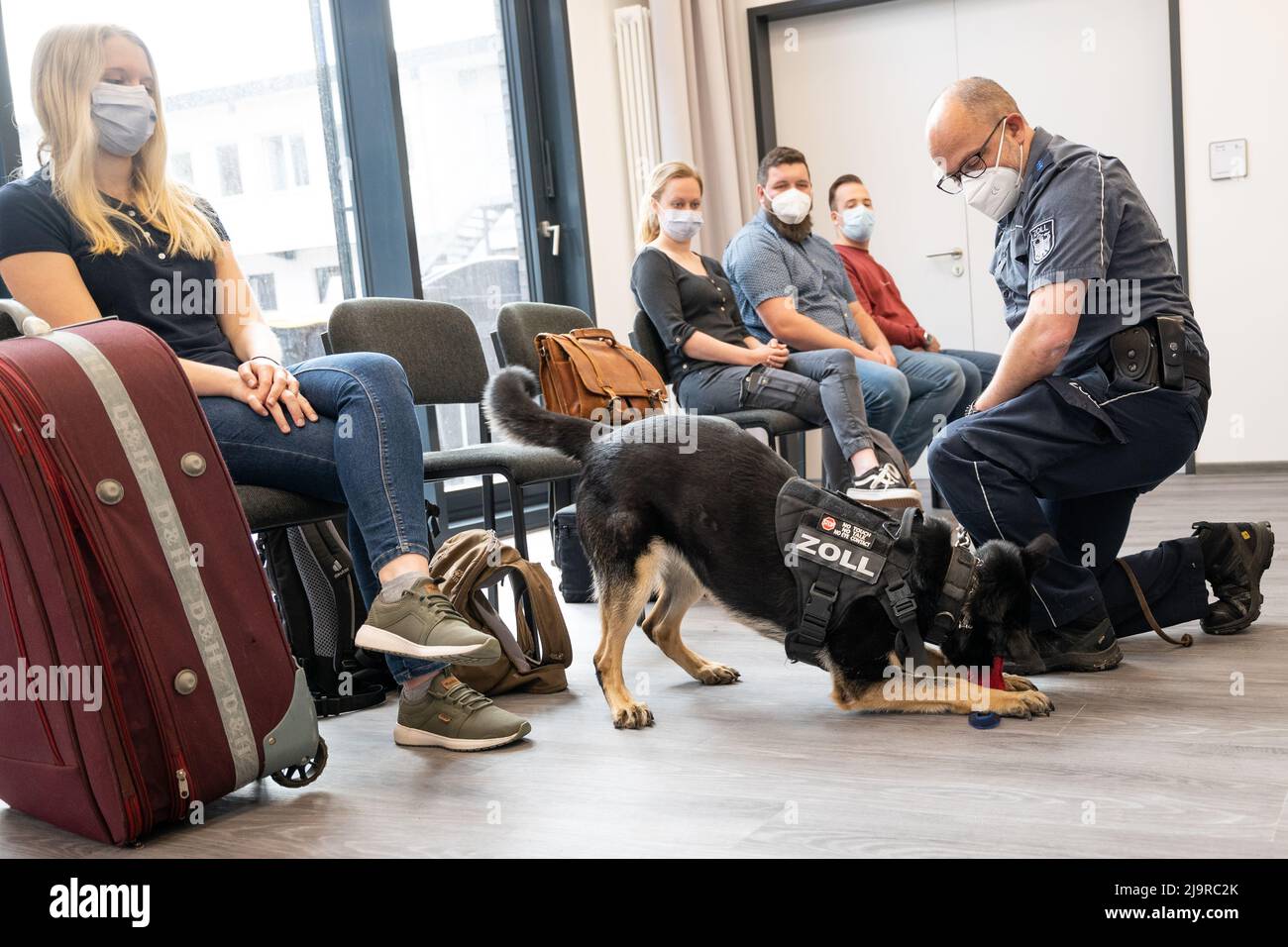 Cologne, Germany. 24th May, 2022. Customs sniffer dog Skadi during a ...