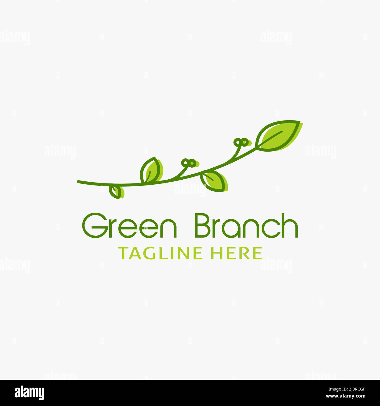 Green branch logo design Stock Vector Image & Art - Alamy