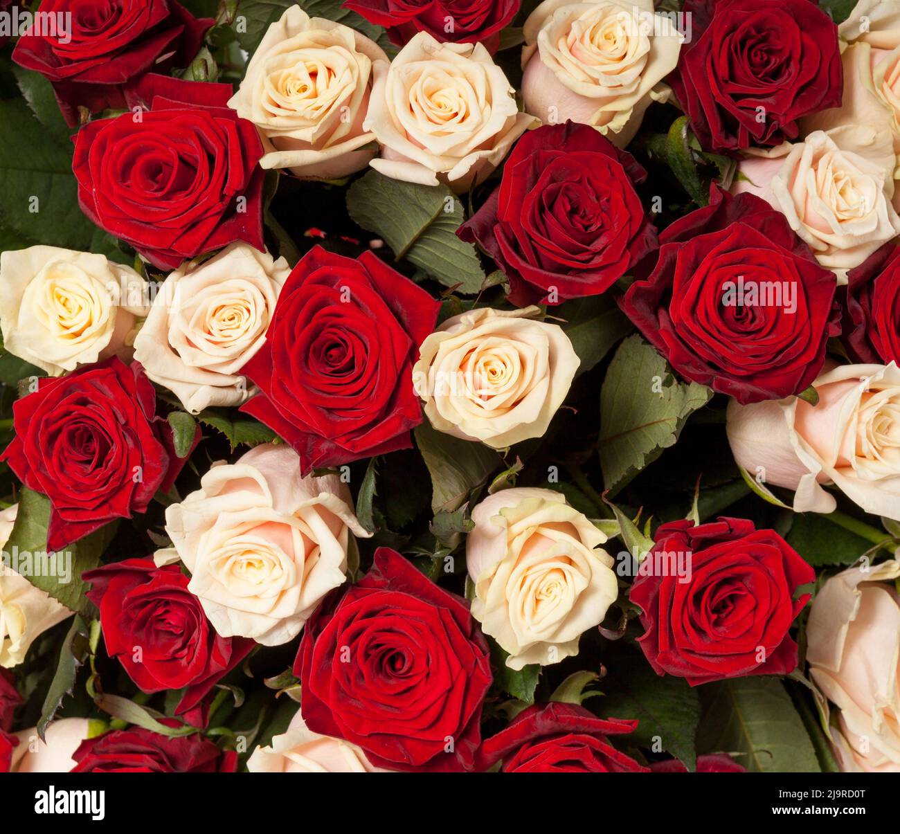 Big red and yellow roses bouquet background, top view Stock Photo - Alamy