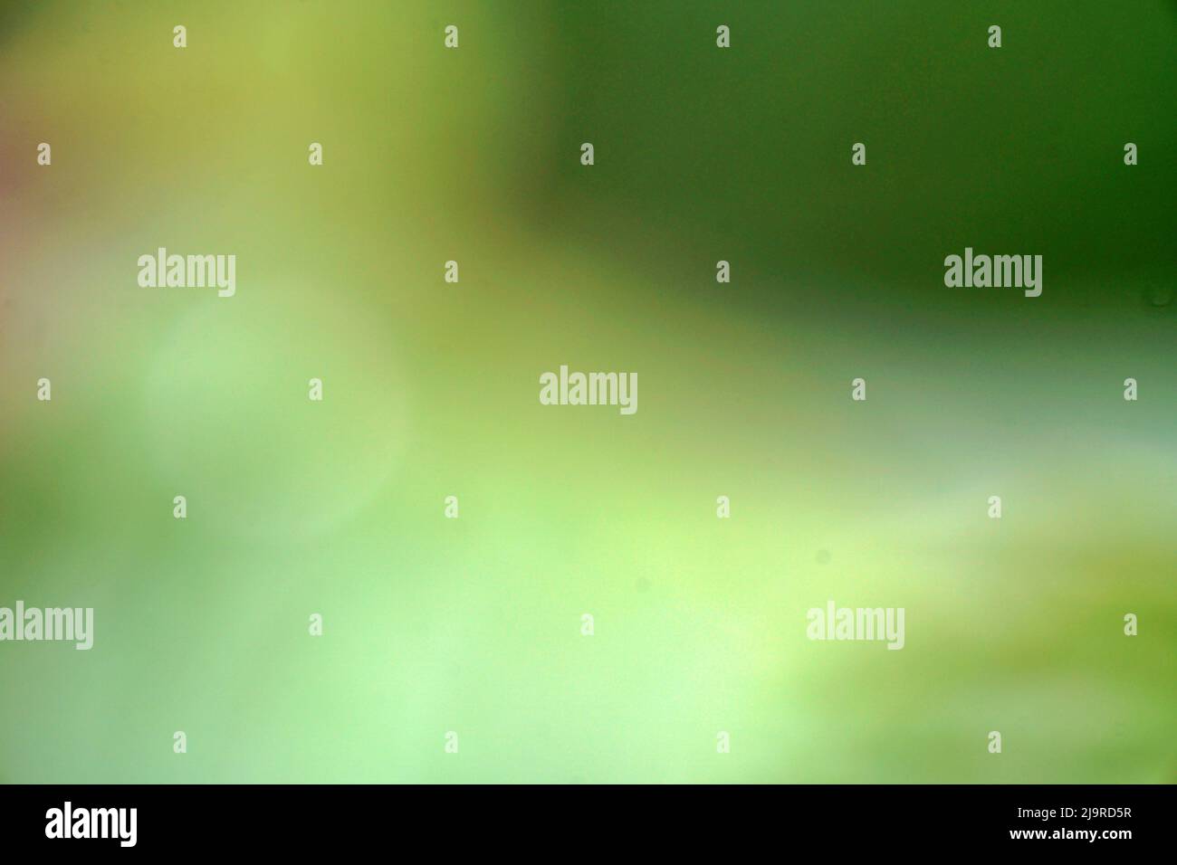 blur background studio green STUDIO PHOTOGRAPHY Stock Photo - Alamy