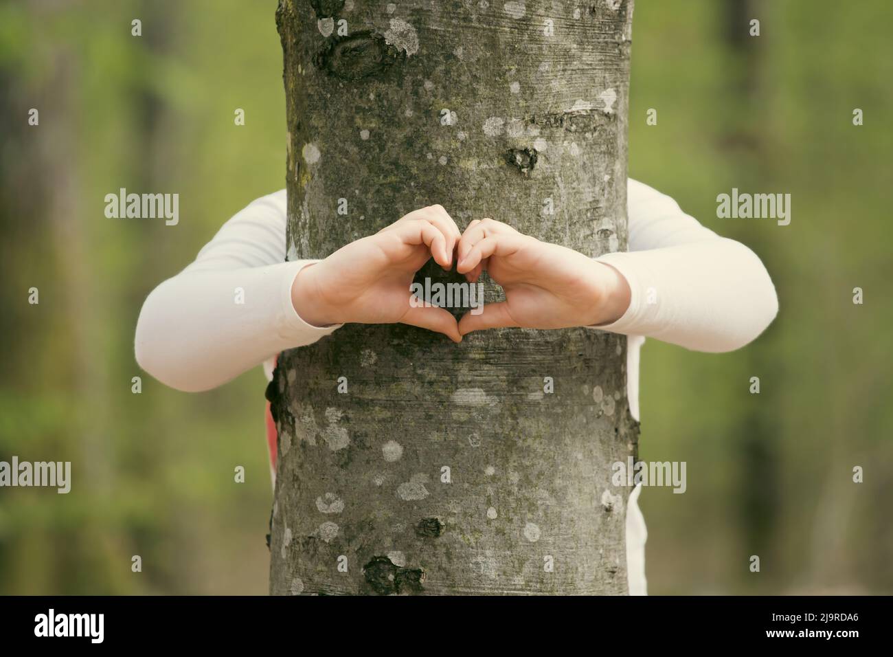 Child's hands making a heart shape on a tree trunk. Embracing ...