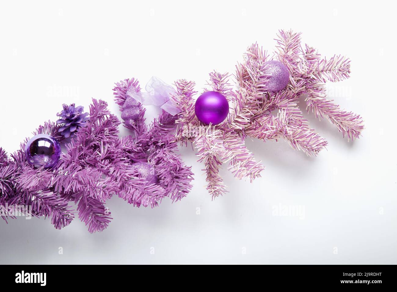 Magenta tree branch with isolated on white Stock Photo - Alamy