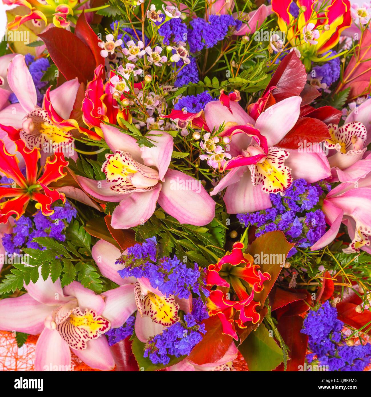 Abstract background of flowers Closeup Stock Photo - Alamy