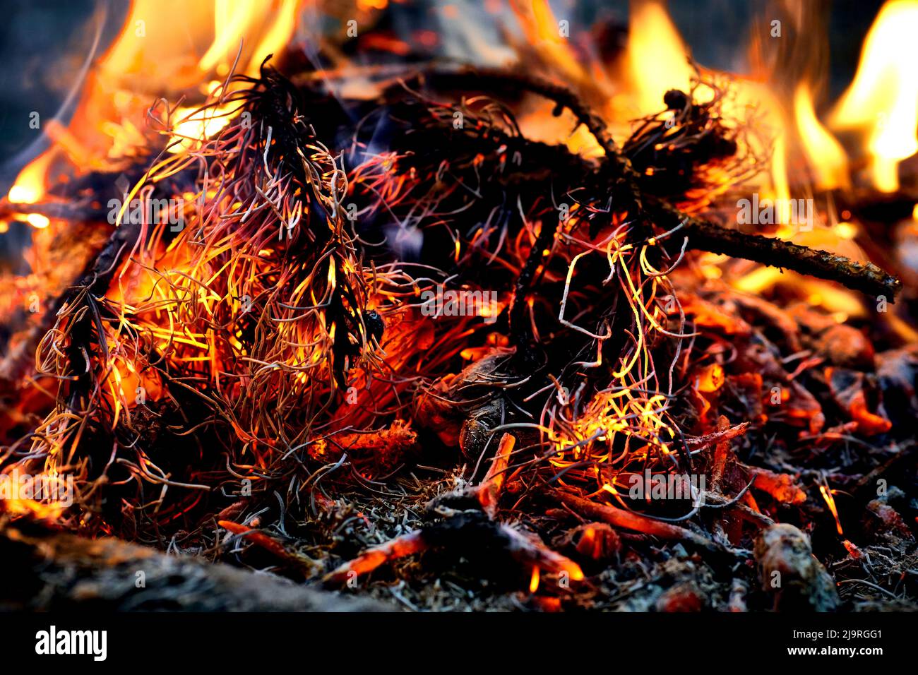 Bonfire and heat burning flame. Forest danger fire Stock Photo - Alamy