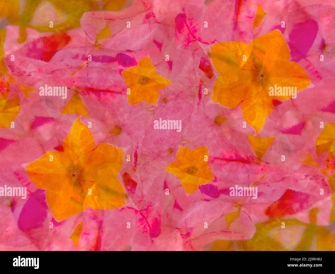 Bold pink and yellow floral abstract Stock Photo - Alamy