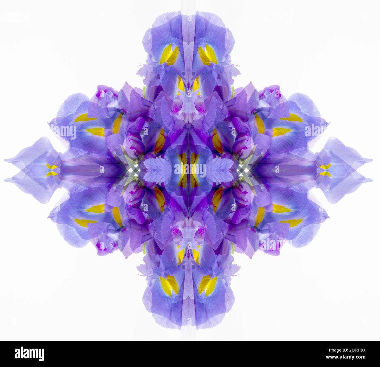 Iris abstract hi-res stock photography and images - Alamy