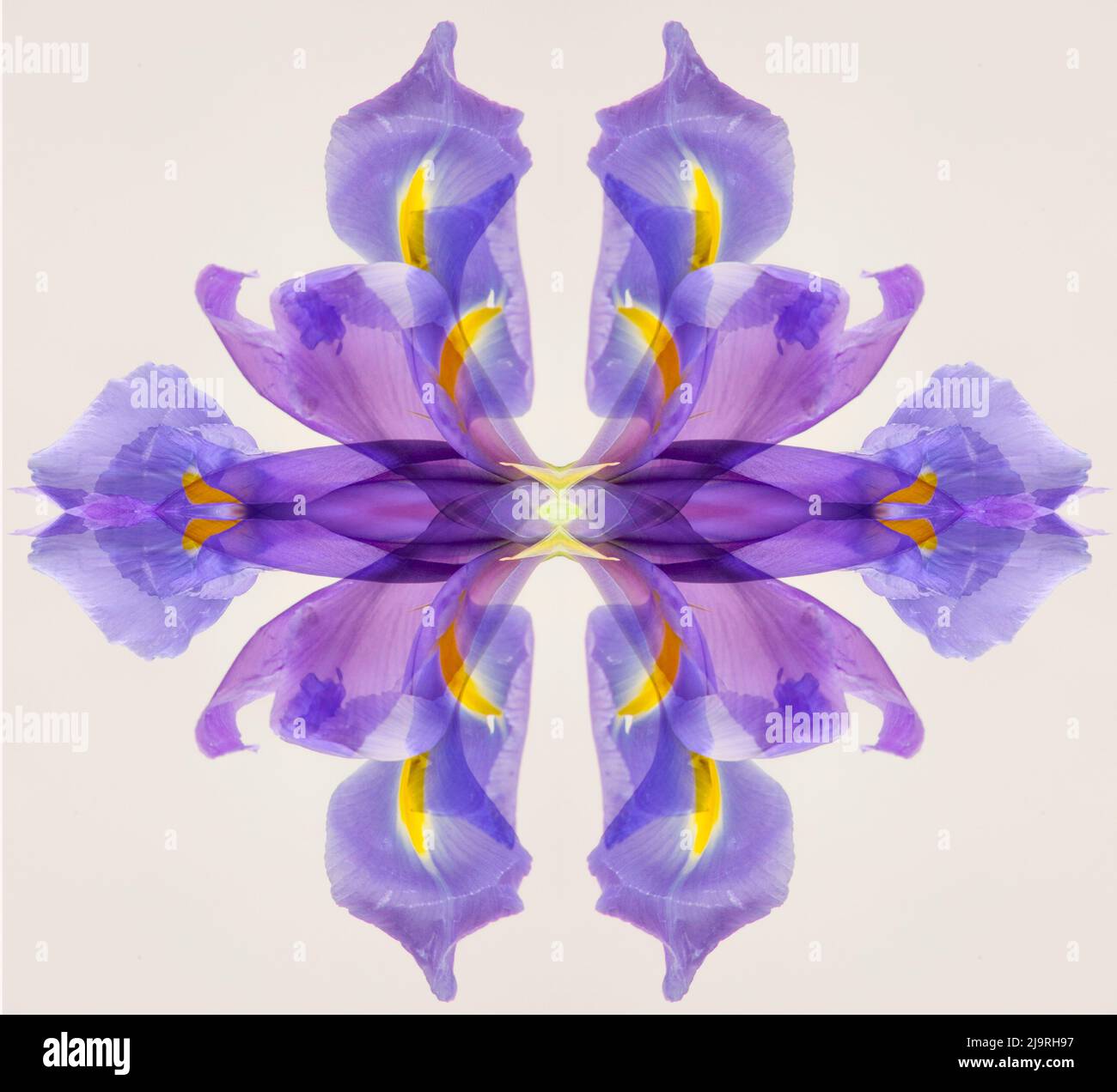 Iris abstract hi-res stock photography and images - Alamy