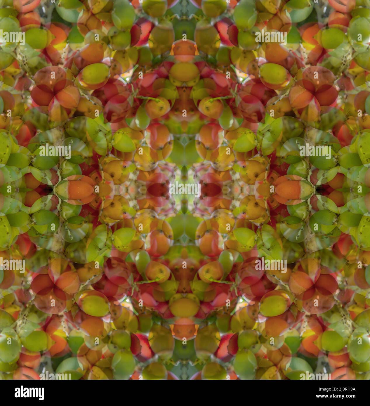 Colorful abstract of fruit Stock Photo - Alamy