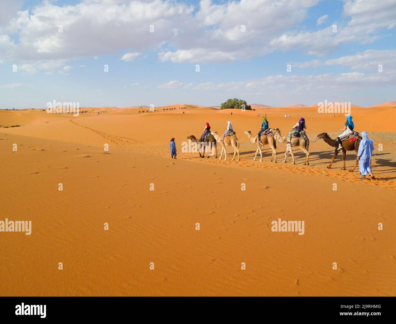 Sahara Desert, Morocco. Merzouga Desert, camel safari Stock Photo - Alamy