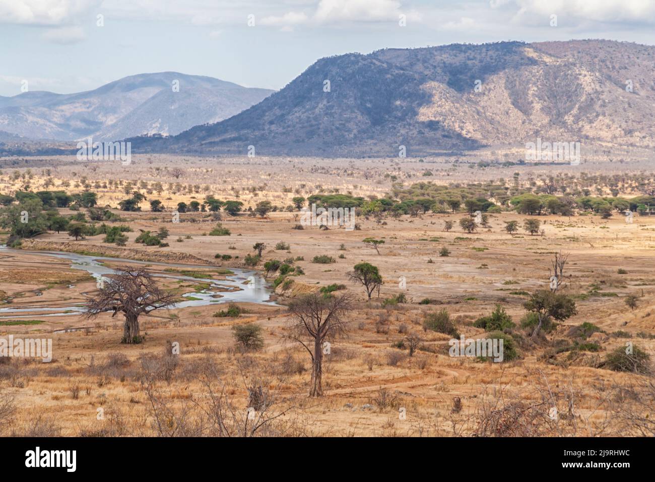 Africa, Tanzania, Ruaha National Park. View of the landscape in Ruaha ...