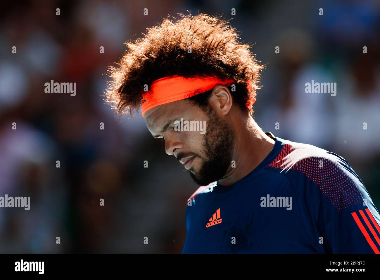 Jo wilfried tsonga tennis action hi-res stock photography and images ...