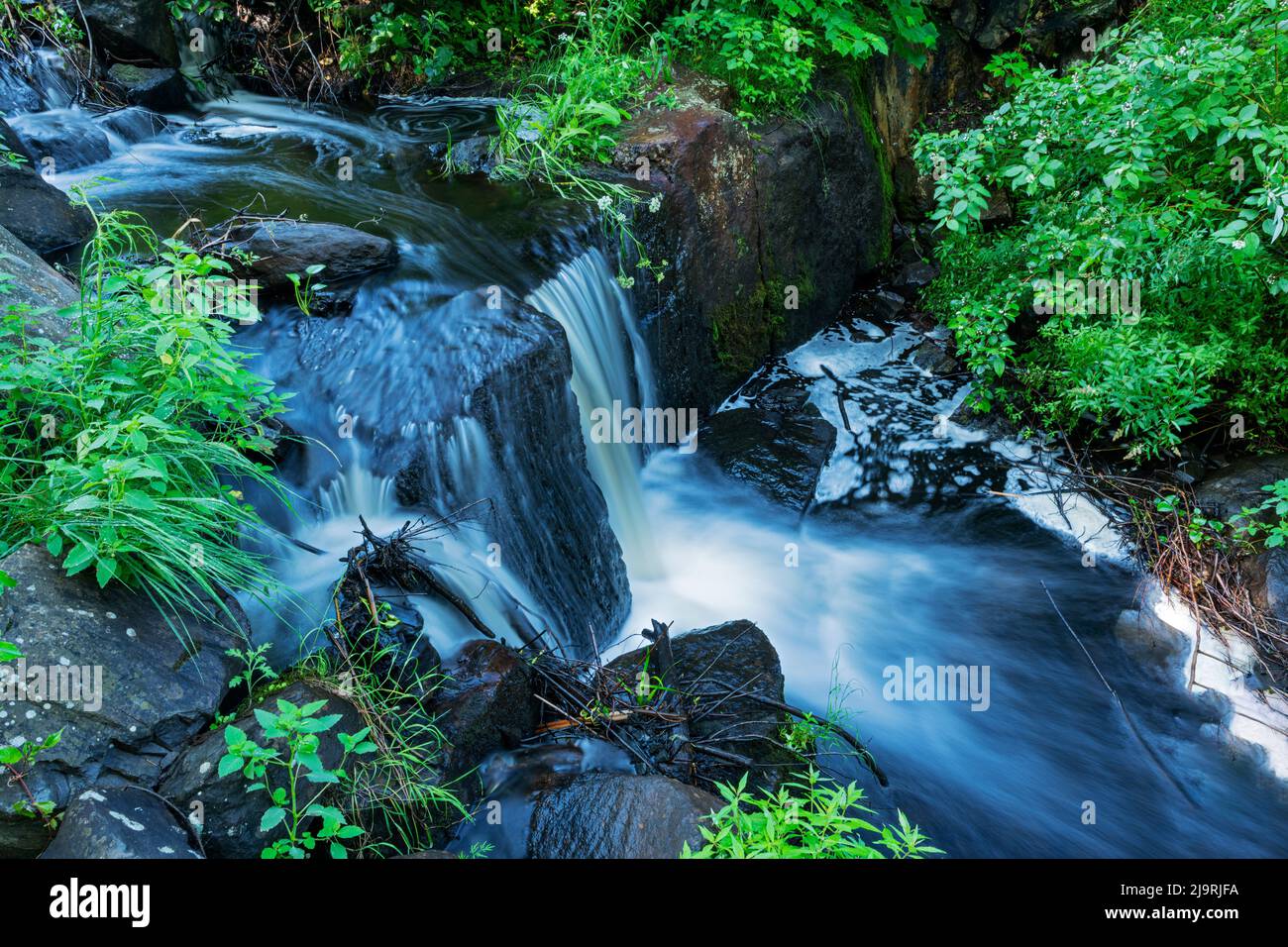 Canada, Manitoba, Whiteshell Provincial Park. Waterfall and forest ...
