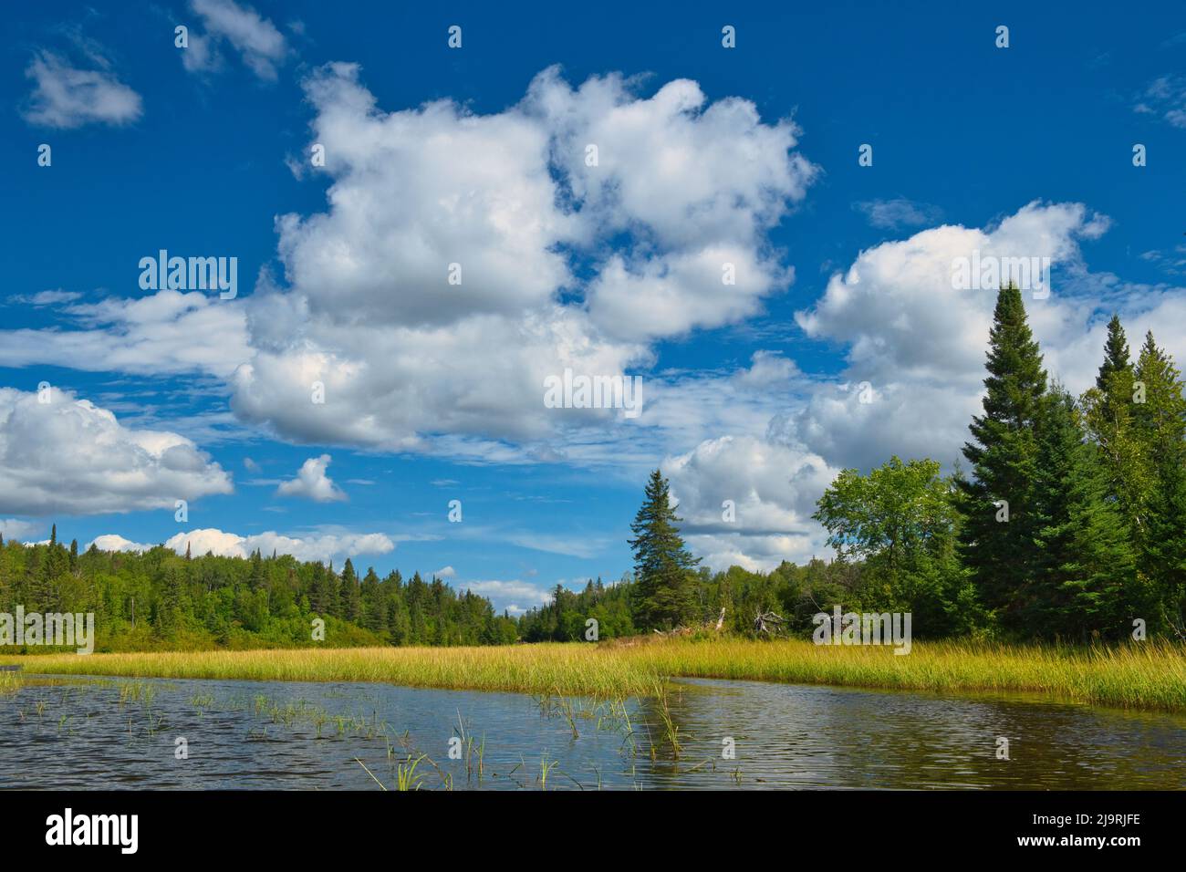 Canada, Manitoba, Whiteshell Provincial Park. River and forest ...