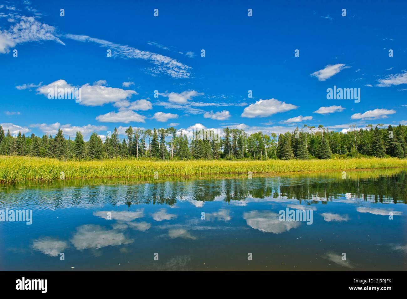 Canada, Manitoba, Whiteshell Provincial Park. River and forest ...