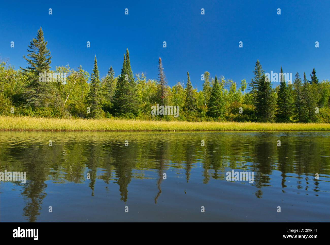 Canada, Manitoba, Whiteshell Provincial Park. River and forest ...