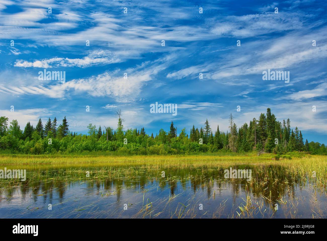 Canada, Manitoba, Whiteshell Provincial Park. River and forest ...