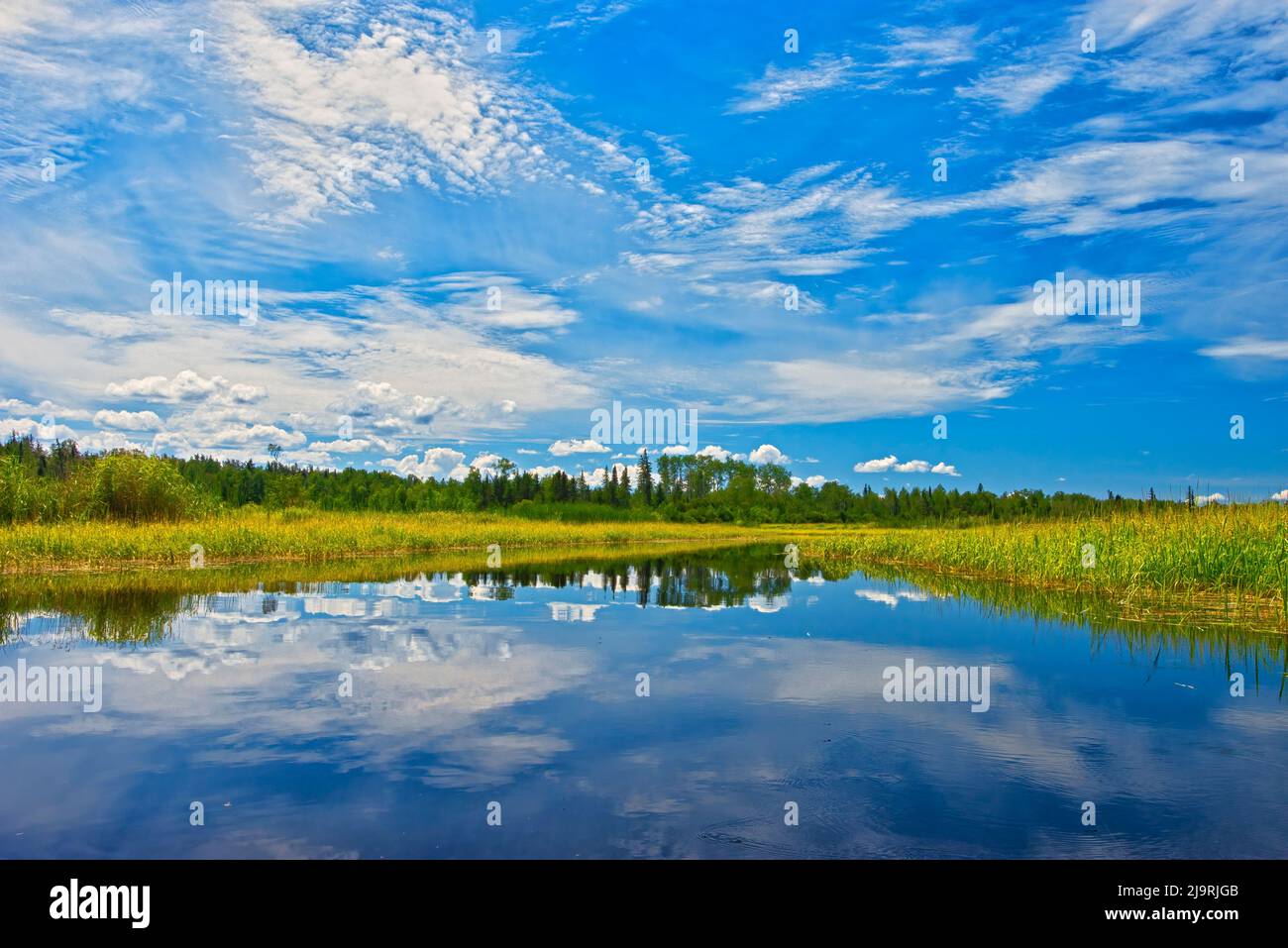 Canada, Manitoba, Whiteshell Provincial Park. River and forest ...